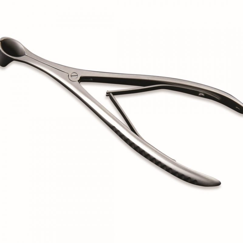 Spekula – GVBM mbH